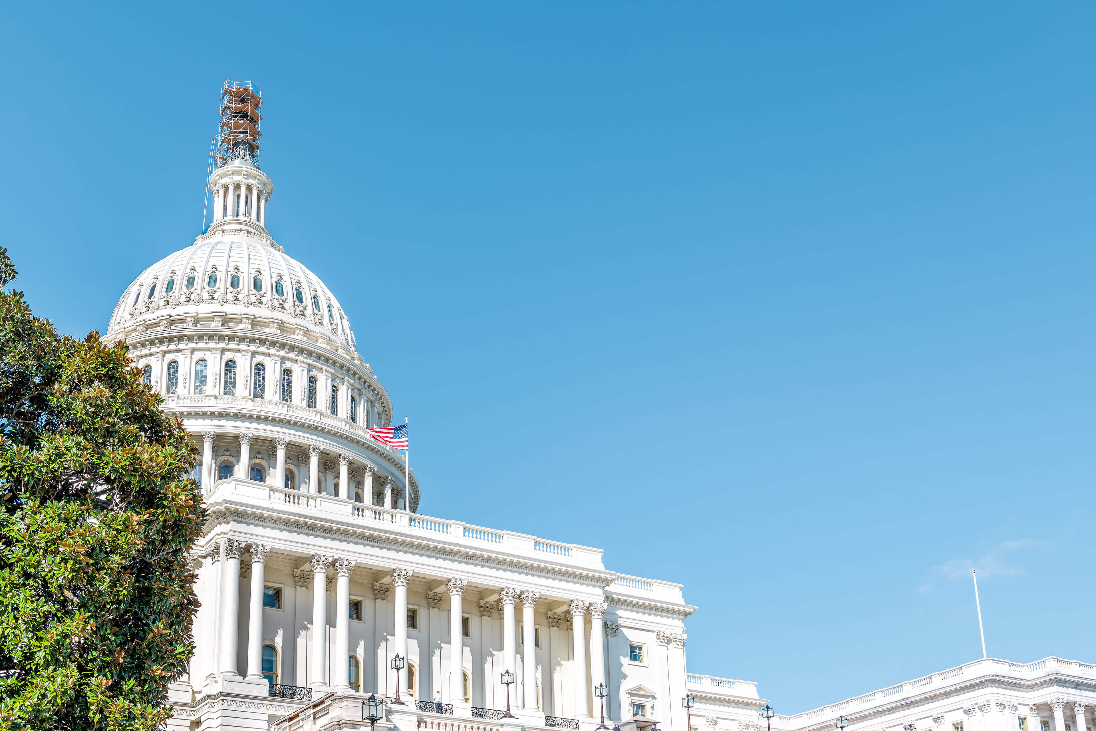 Washington DC, USA US Congress dome construction exterior with s ...